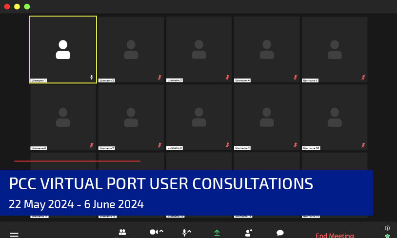 Department of Public Enterprises commits to addressing port reform