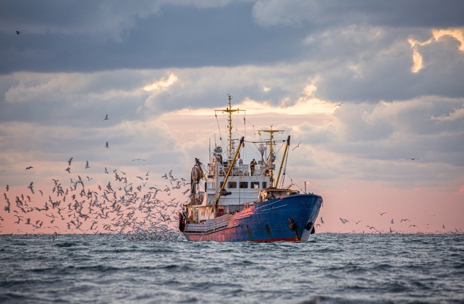 Deep-sea trawling body remains strong despite challenges