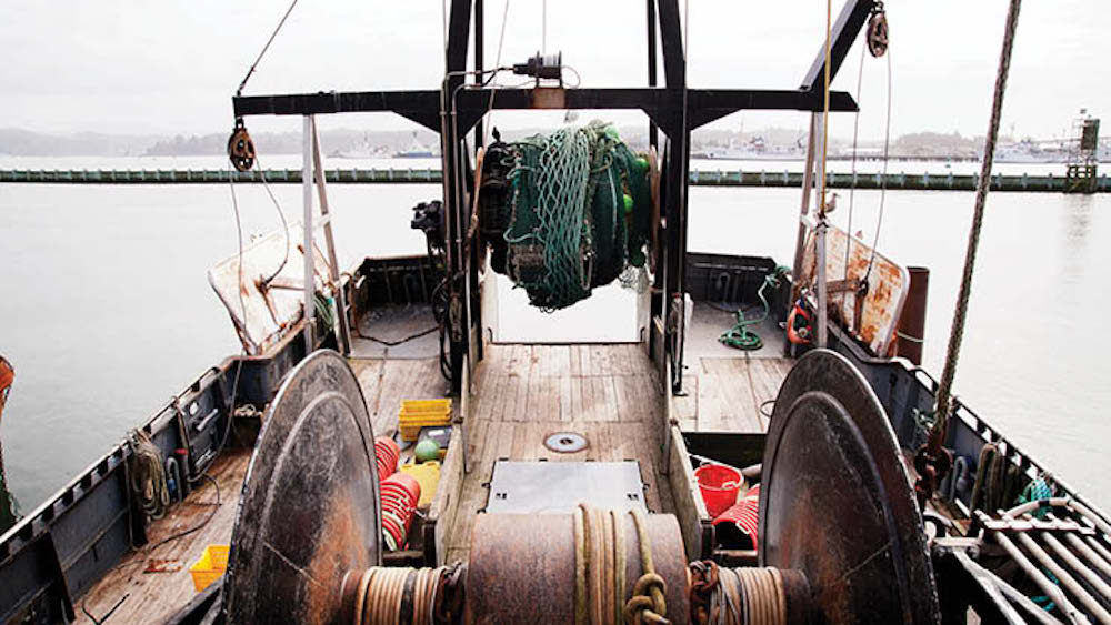 Addressing the ongoing fishing crisis